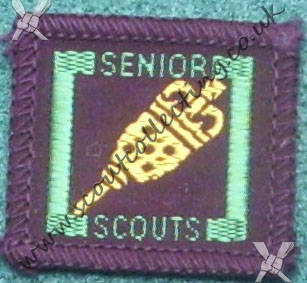 Civics Senior Scout Badge 1964 to 1967 | Collecting Badges