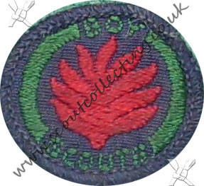 Fire Safety Scout Badge Blue Woven and Bound 1934 to 1967 | Collecting ...