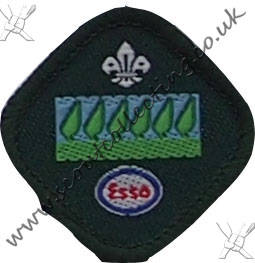 Forester Scout Badge post 1991 to 2001 | Collecting Badges
