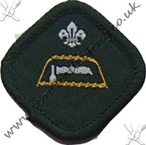 Forester Scout Badge post 1991 to 2001 | Collecting Badges