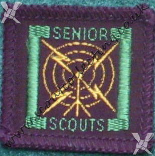 Radio Mechanic Senior Scout Badge 1964 to 1967 | Collecting Badges