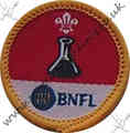 Scientist Activities Cub Badge post 2002 | Collecting Badges